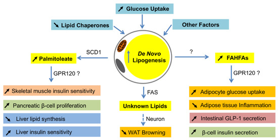 Regulation and Metabolic Significance of De Novo Lipogenesis in Adipose ...