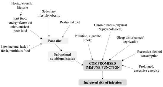 Immune Function and Micronutrient Requirements Change over the Life Course