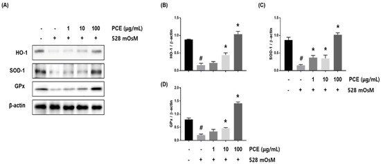 The Protective Effect of Polygonum cuspidatum (PCE) Aqueous Extract in ...