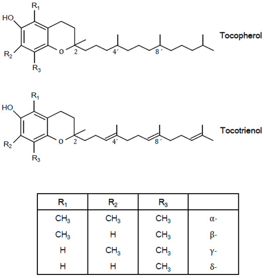 The Role of Vitamin E in Immunity