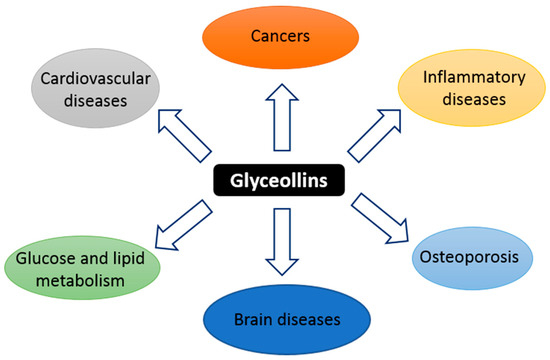 An Update on the Effects of Glyceollins on Human Health: Possible ...
