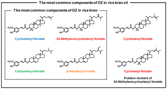 Evaluation of γ-oryzanol Accumulation and Lipid Metabolism in the Body ...