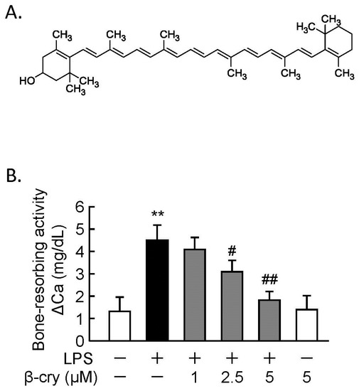 Beta-Cryptoxanthin Inhibits Lipopolysaccharide-Induced Osteoclast ...