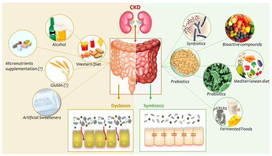 Dietary Components That May Influence the Disturbed Gut Microbiota in ...
