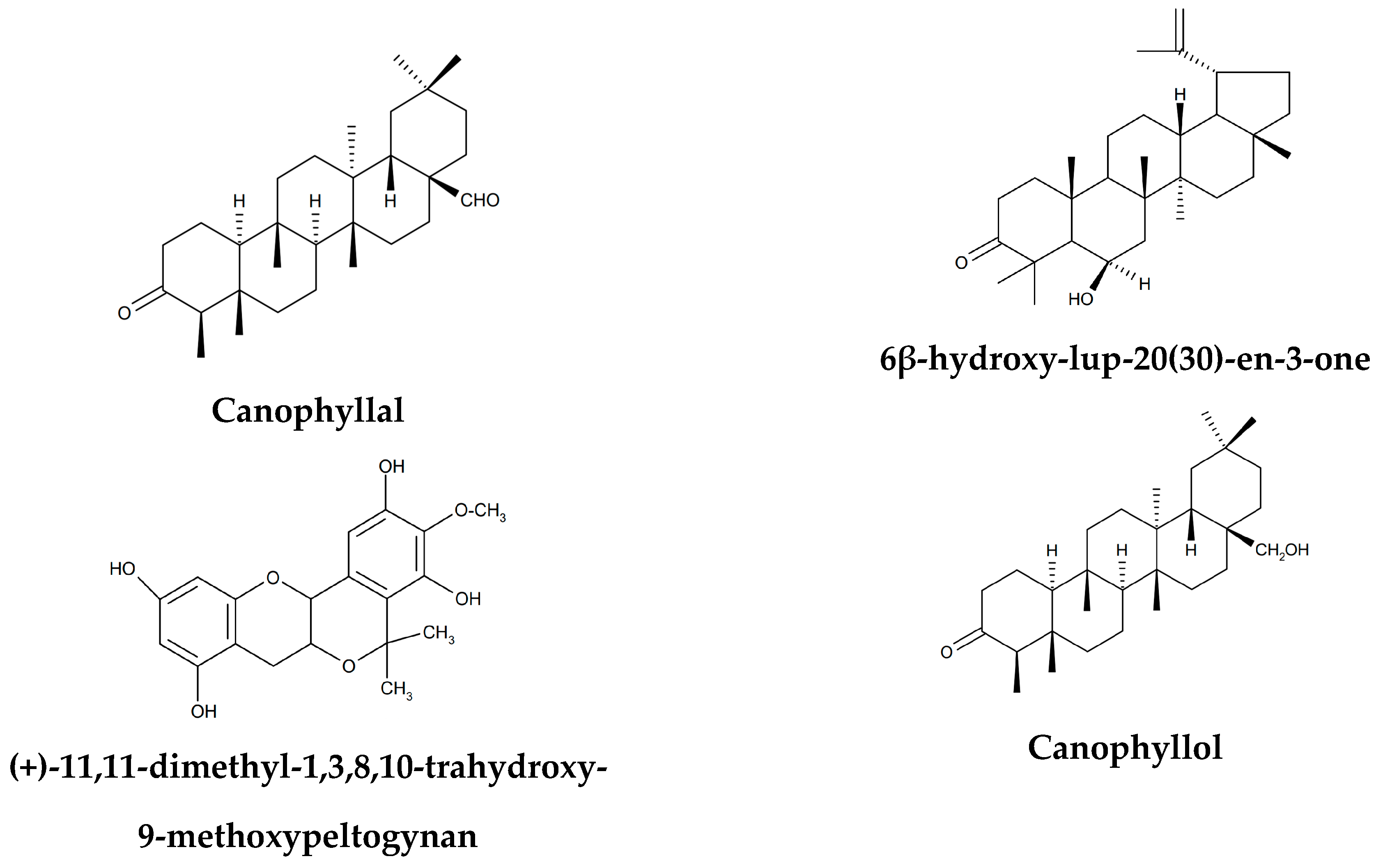 Nutrients Free Full Text Medicinal Uses Phytochemistry And