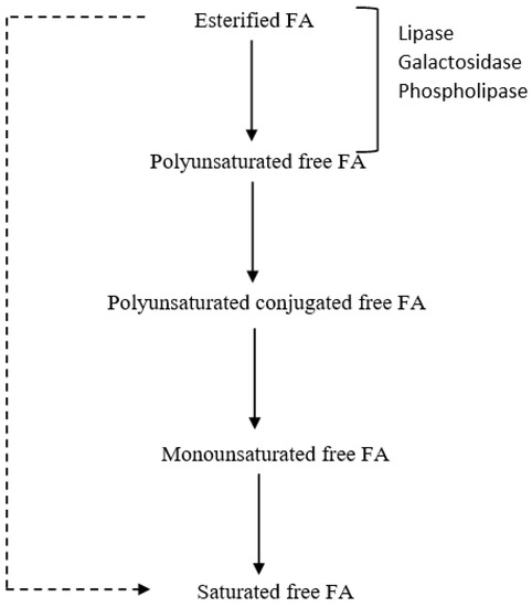 Enhancing Omega-3 Long-Chain Polyunsaturated Fatty Acid Content of ...