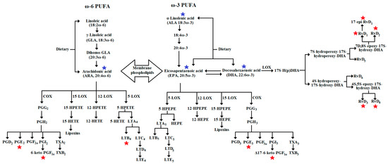 The Effect of Omega-3 and Omega-6 Polyunsaturated Fatty Acids on the Production of ...