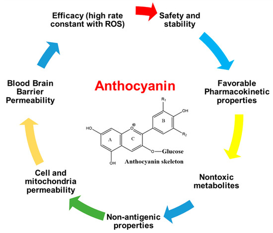 Nutrients | Free Full-Text | Natural Antioxidant Anthocyanins—A Hidden ...
