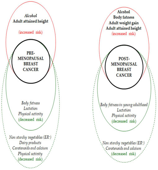 Nutrition and Breast Cancer: A Literature Review on Prevention ...