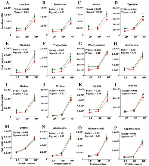 Mice Lacking the Intestinal and Renal Neutral Amino Acid Transporter ...