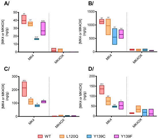 Establishment of the Variation of Vitamin K Status According to Vkorc1 ...