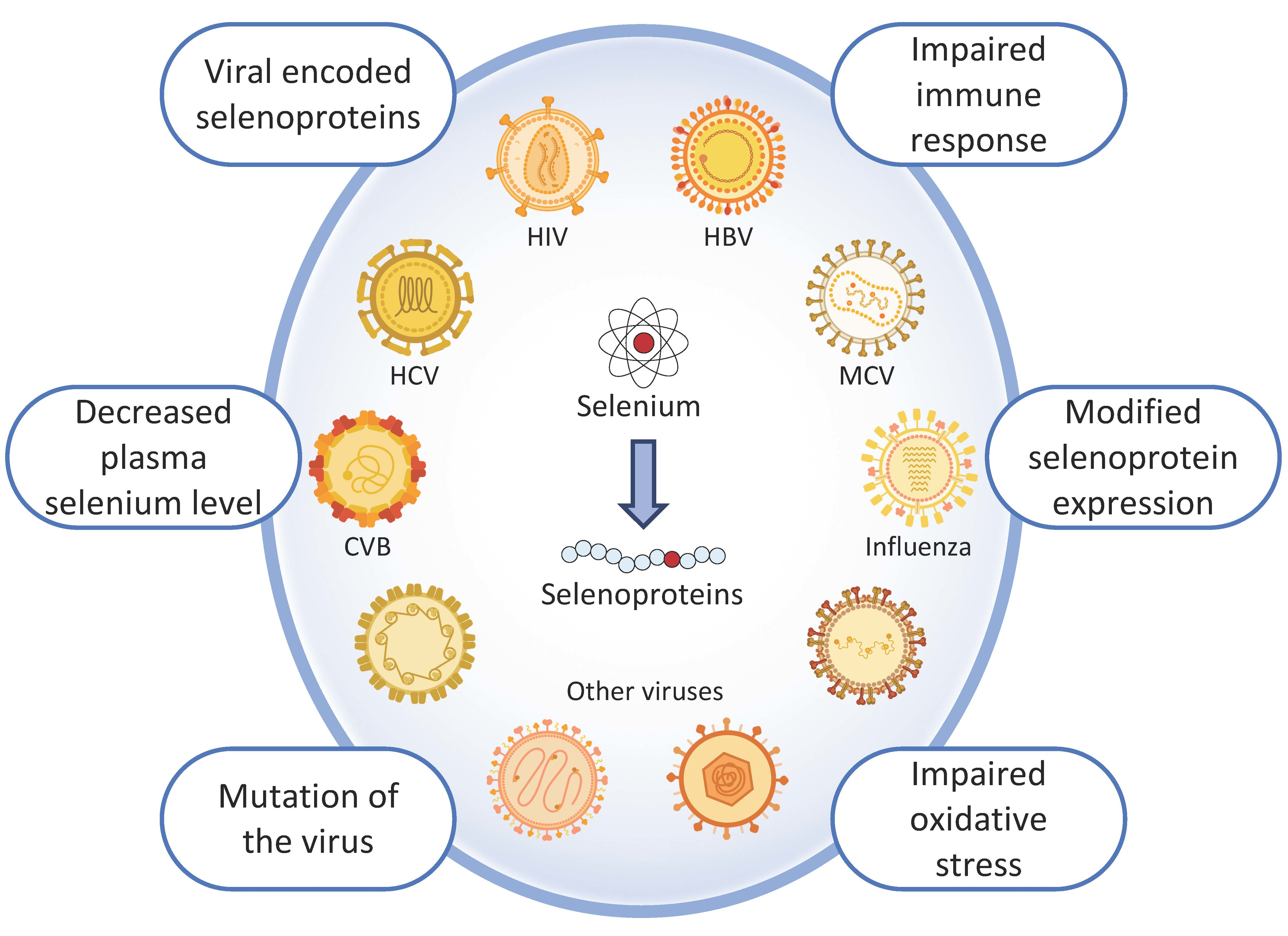 Nutrients | Free Full-Text | Selenium, Selenoproteins and Viral Infection