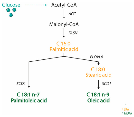 Role of Oleic Acid in the Gut-Liver Axis: From Diet to the Regulation ...