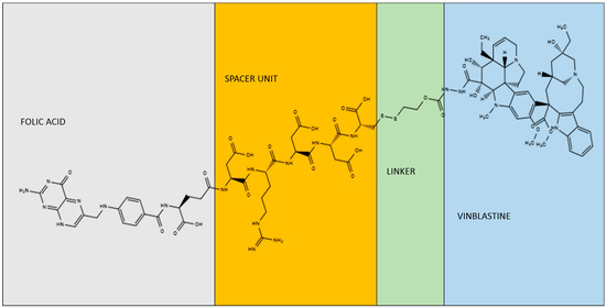 Renal Reabsorption of Folates: Pharmacological and Toxicological Snapshots