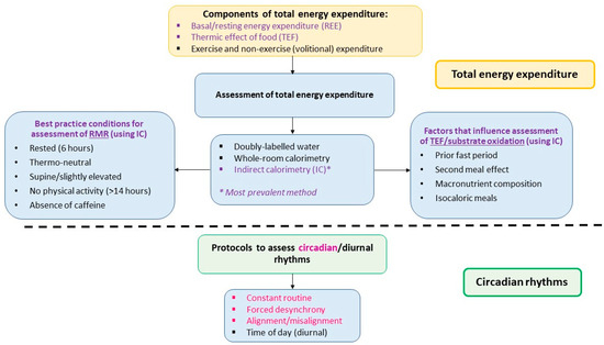 The Impact of Time of Day on Energy Expenditure: Implications for Long ...