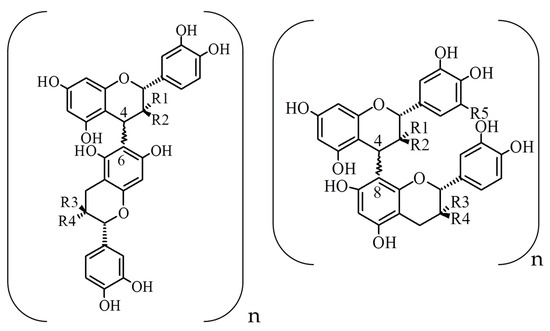 Grape Seeds Proanthocyanidins: An Overview of In Vivo Bioactivity in ...