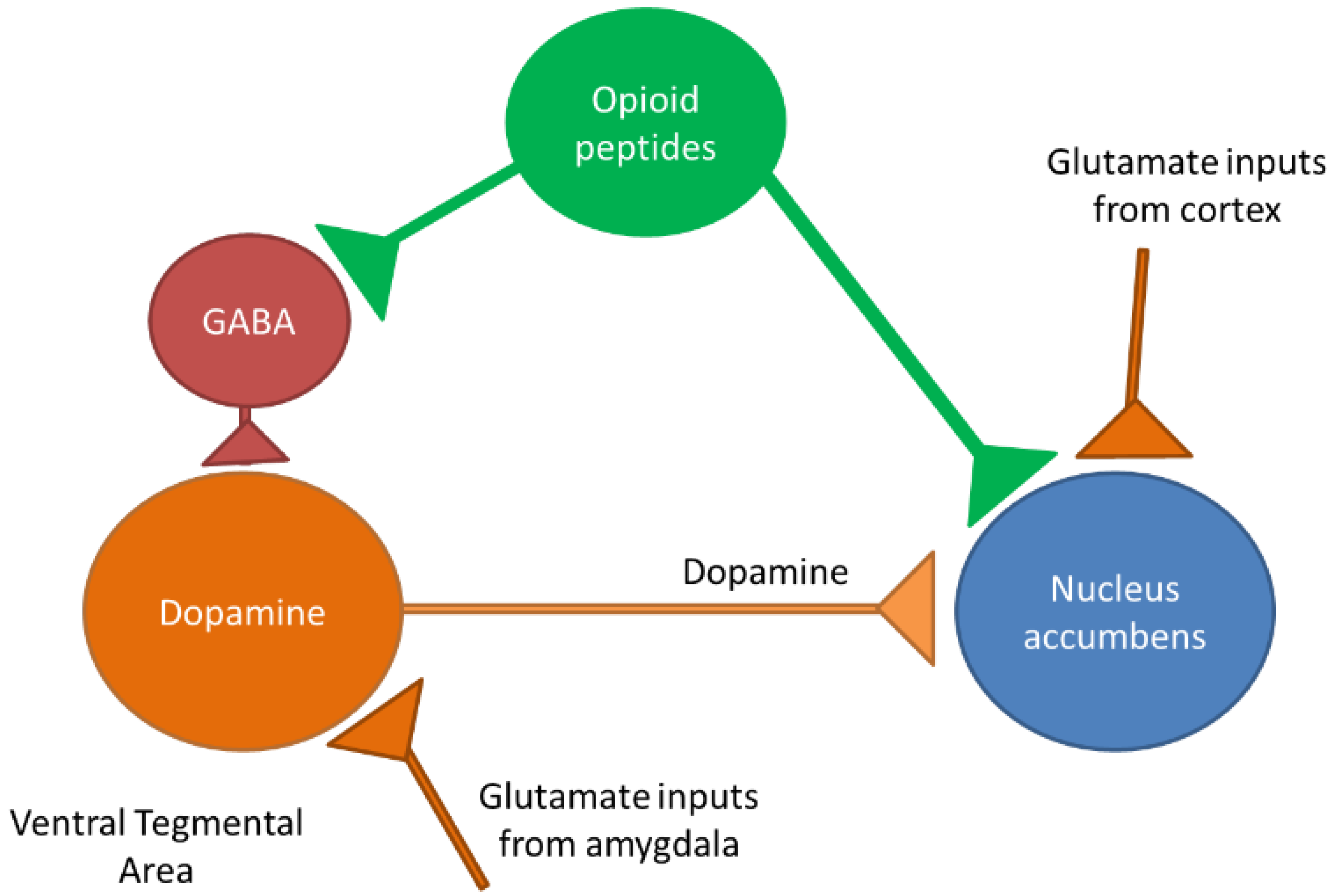 Fat Addiction: Psychological and Physiological Trajectory