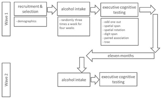Alcohol Consumption, Drinking Patterns, and Cognitive Performance in ...