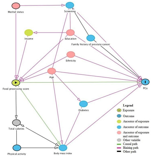 Extent of Food Processing and Risk of Prostate Cancer: The PROtEuS ...