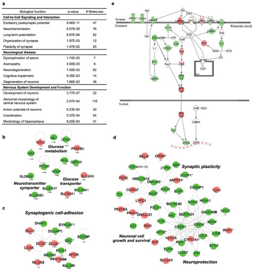 Dehydration Impairs Physical Growth and Cognitive Development in Young Mice