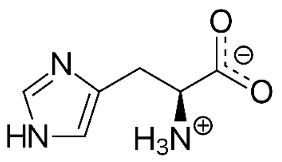 Histidine in Health and Disease: Metabolism, Physiological Importance ...