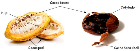 Cocoa Bean Shell—A By-Product with Nutritional Properties and ...