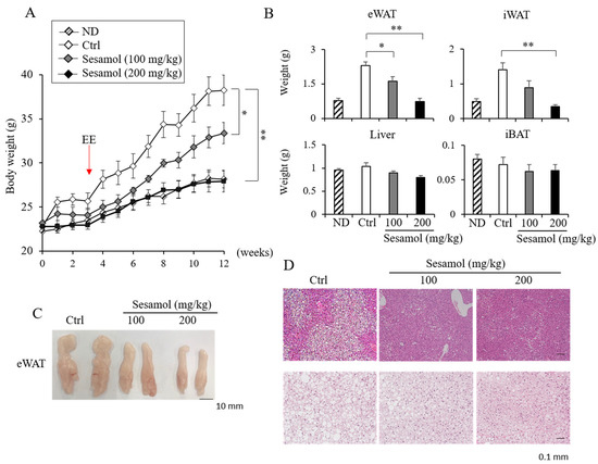 Sesamol Increases Ucp1 Expression in White Adipose Tissues and ...