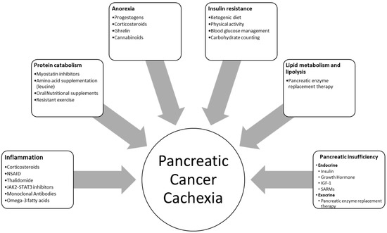 Pancreatic Cancer and Cachexia—Metabolic Mechanisms and Novel Insights