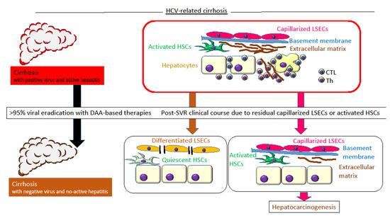 Oxidative Stress Management in Chronic Liver Diseases and ...