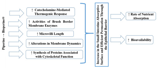 Iron and Physical Activity: Bioavailability Enhancers, Properties of ...