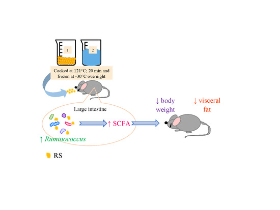 Nutrients | Free Full-Text | Frozen Autoclaved Sorghum Enhanced Colonic ...