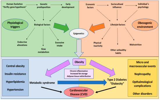 Type 2 Diabetes Mellitus Associated with Obesity (Diabesity). The ...