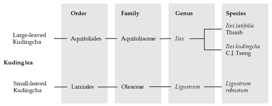 Chemical Composition, Bioactivity and Safety Aspects of Kuding Tea—From ...