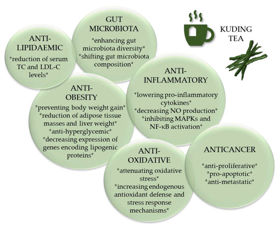 Chemical Composition, Bioactivity and Safety Aspects of Kuding Tea—From ...