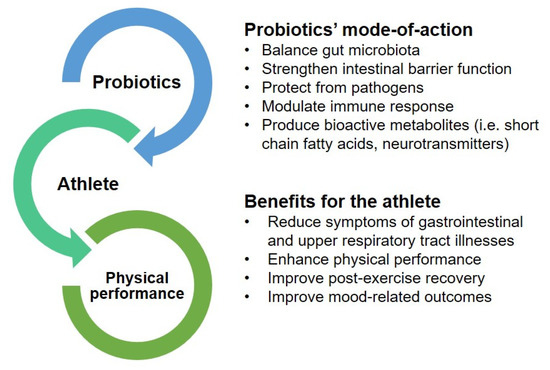 Gut Microbiota, Probiotics and Physical Performance in Athletes and ...
