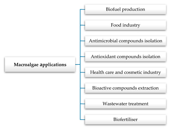 Macroalgae—A Sustainable Source of Chemical Compounds with Biological ...