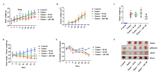 The Extract of Arctium lappa L. Fruit (Arctii Fructus) Improves Cancer ...