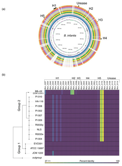 Comparative Genome Analysis of Bifidobacterium longum subsp. infantis Strains Reveals Variation ...