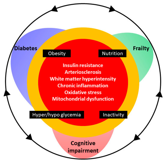 Nutrition Management in Older Adults with Diabetes: A Review on the ...