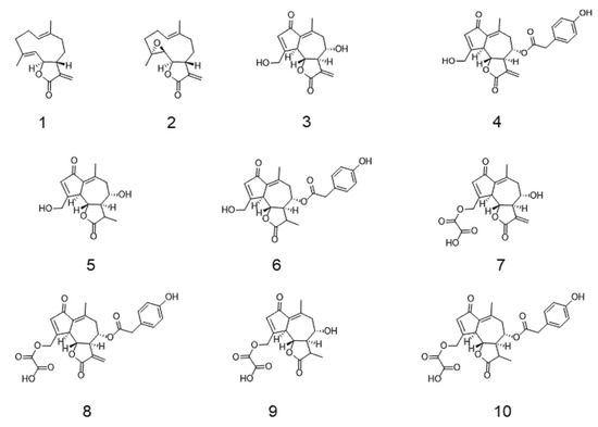 Assessing the Intestinal Permeability and Anti-Inflammatory Potential ...