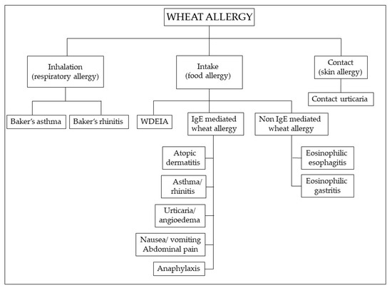 Is Gluten the Only Culprit for Non-Celiac Gluten/Wheat Sensitivity?