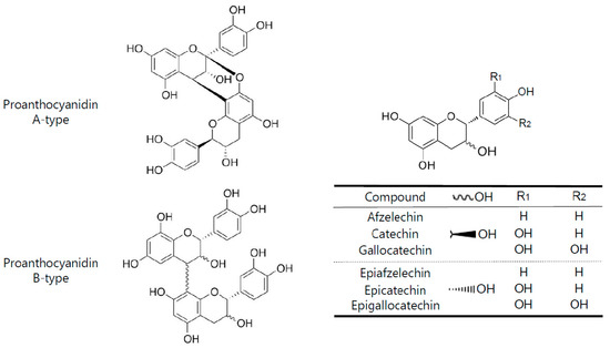The Diverse Efficacy of Food-Derived Proanthocyanidins for Middle-Aged ...