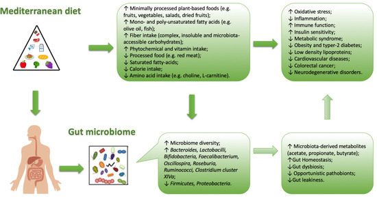 Influence of Mediterranean Diet on Human Gut Microbiota