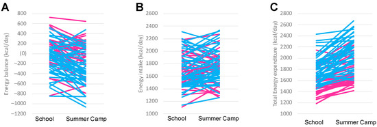 The EnergyKids Pilot Study: Comparing Energy Balance of Primary School ...