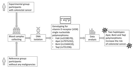 Nutrients | Free Full-Text | Vitamin D Receptor (VDR) Gene Polymorphism in Patients Diagnosed ...