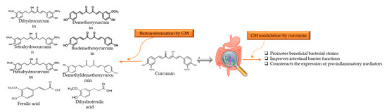 Curcumin, Quercetin, Catechins and Metabolic Diseases: The Role of Gut ...