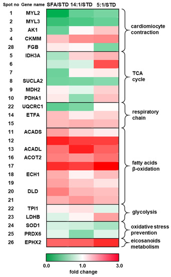 Nutrients | Free Full-Text | Effects of Three-Month Feeding High Fat ...