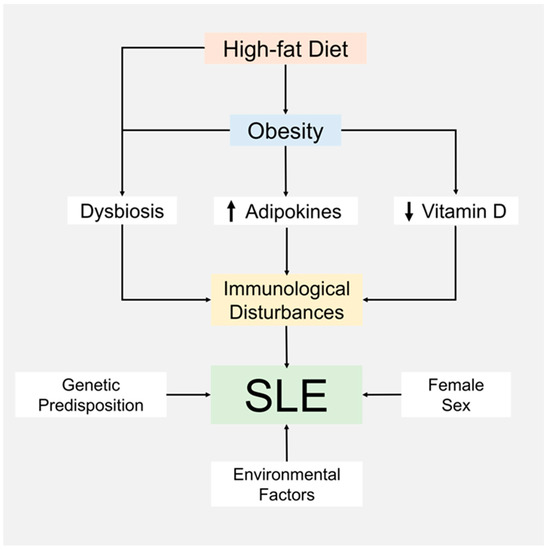 The Impact of Obesity and a High-Fat Diet on Clinical and Immunological ...