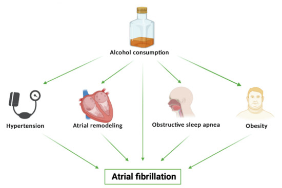 Consensus and Controversy in the Debate over the Biphasic Impact of ...