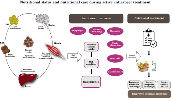 Nutrients | Special Issue : Individualized Care for Malnourished Cancer ...